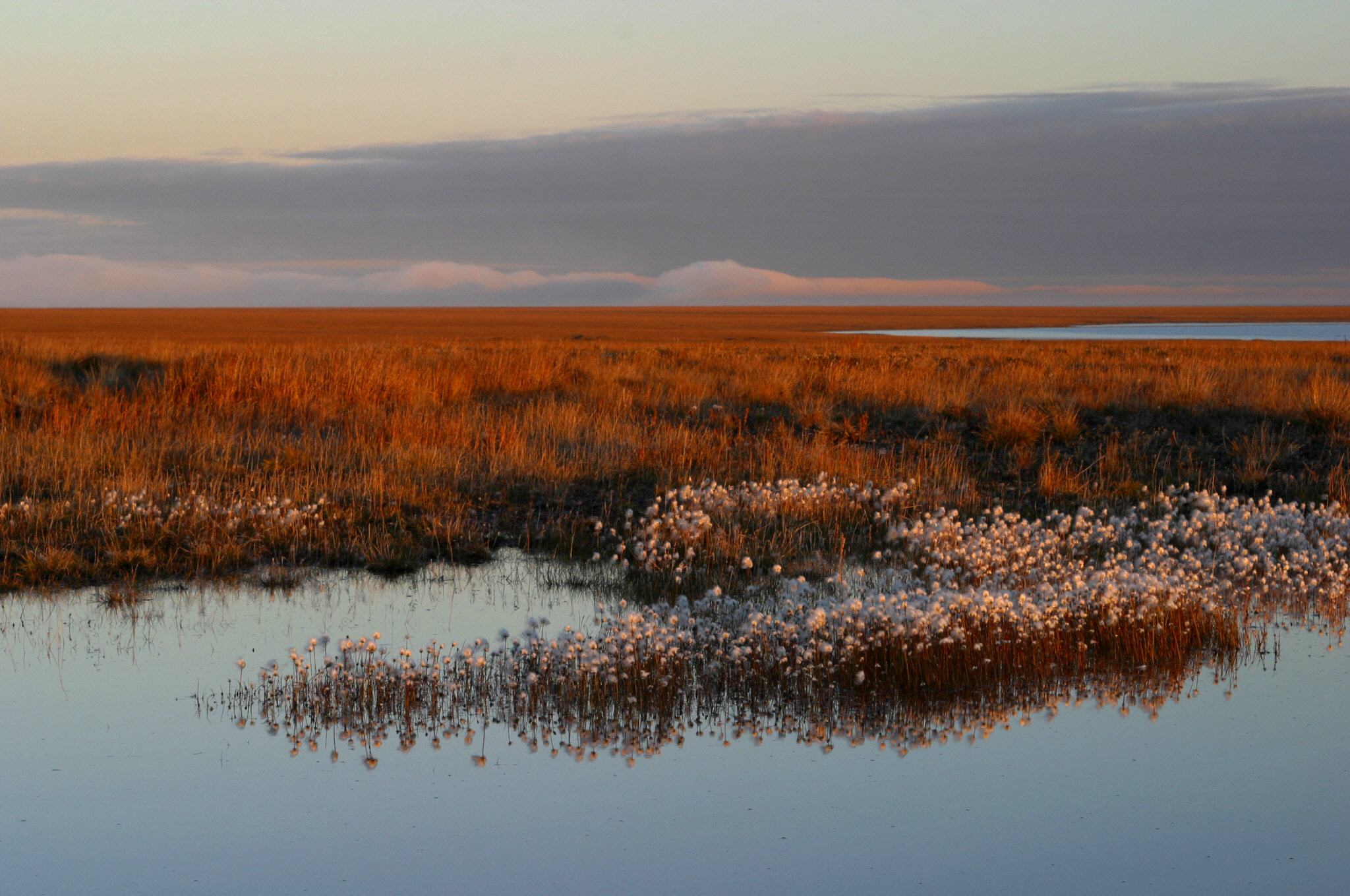 lkjl - ГОСНОВОСТИ